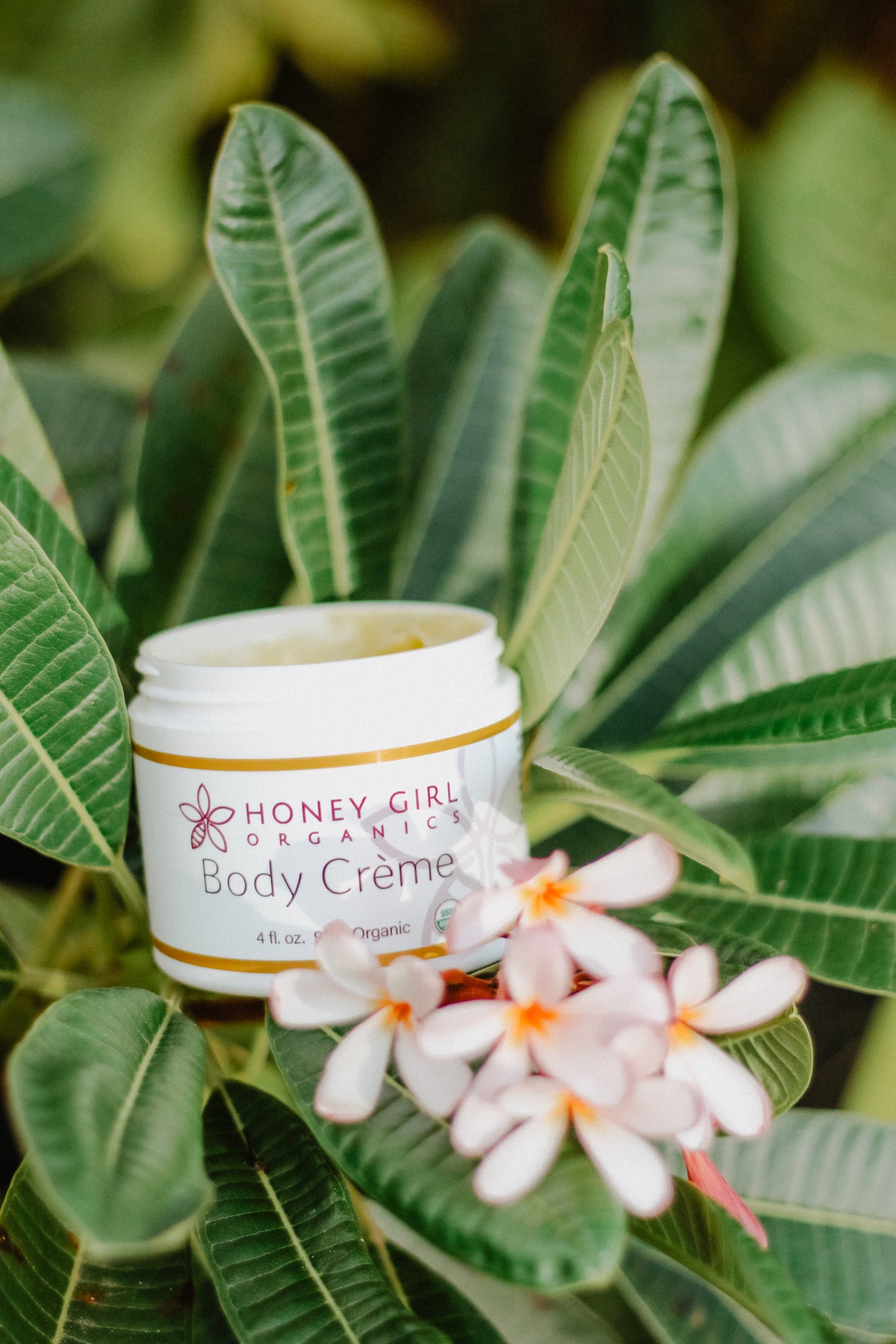 Body Crème - Organic – HoneyGirlOrganics